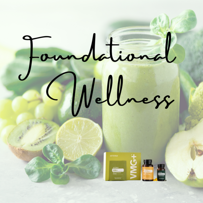 Foundational Wellness: Building the Health You Deserve – Kim Hess