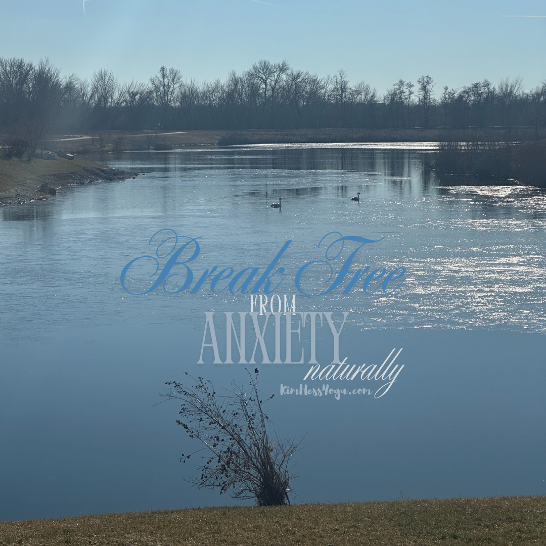 Breaking Free from Anxiety: My Journey & Natural Solutions – Kim Hess